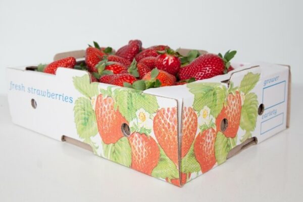 Produce Cartons | HD Cardboards - Fresh Packaging Solutions