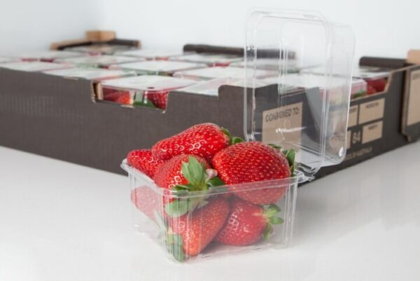 Our Products | Cardboard & Plastic Packaging Products | HD Cardboards