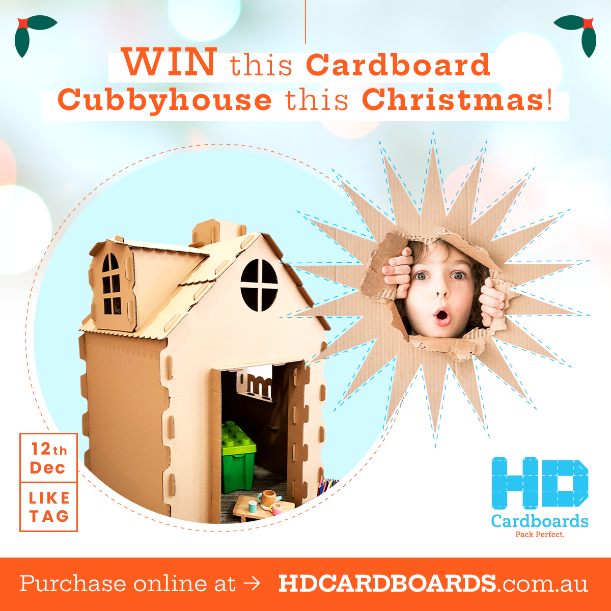 HD Cardboards Competition - HD Cardboards